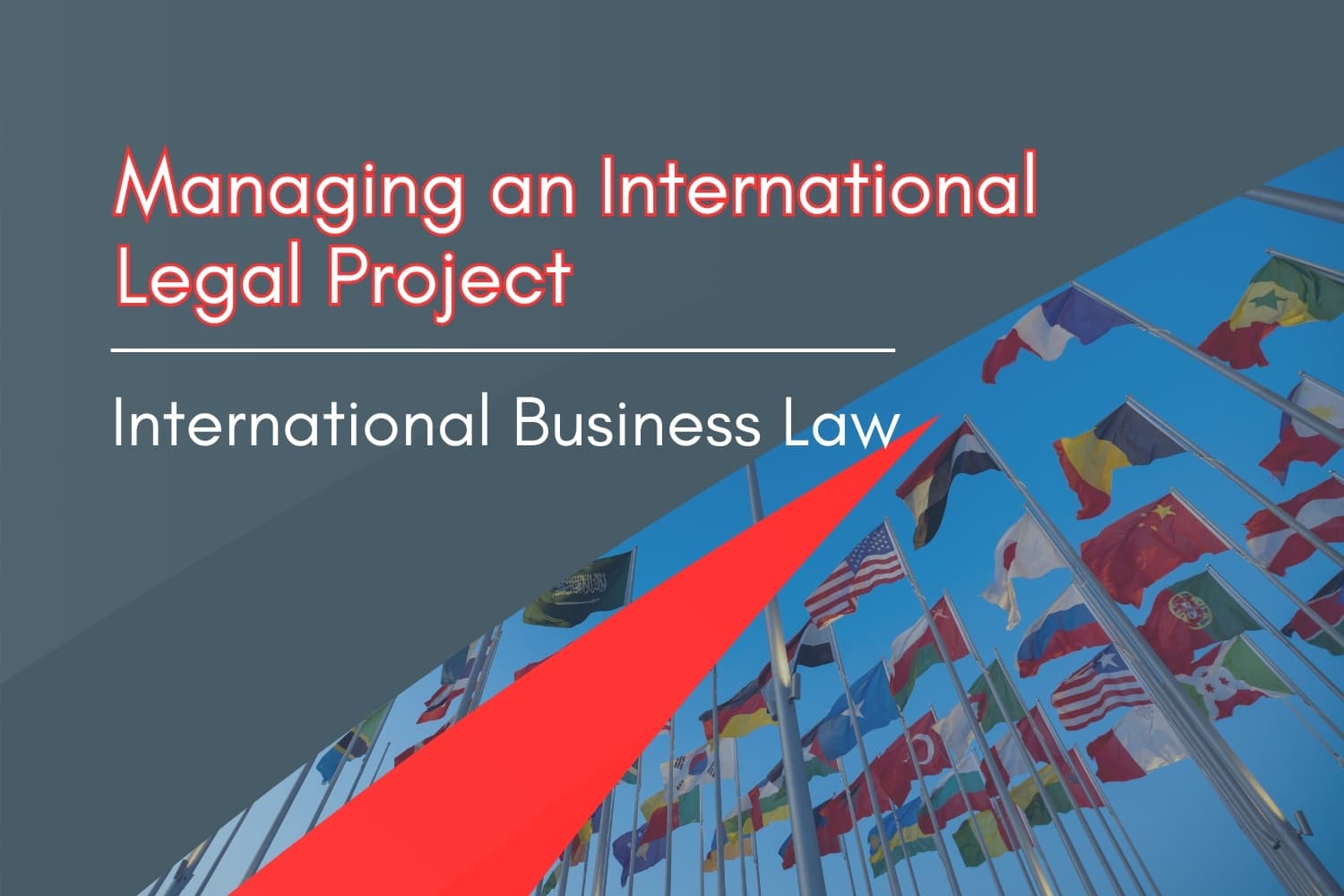 What steps do you take when managing an international legal project?